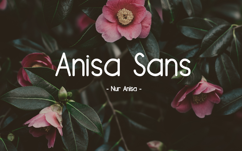 Download Anisa Sans font | dafonttop.com