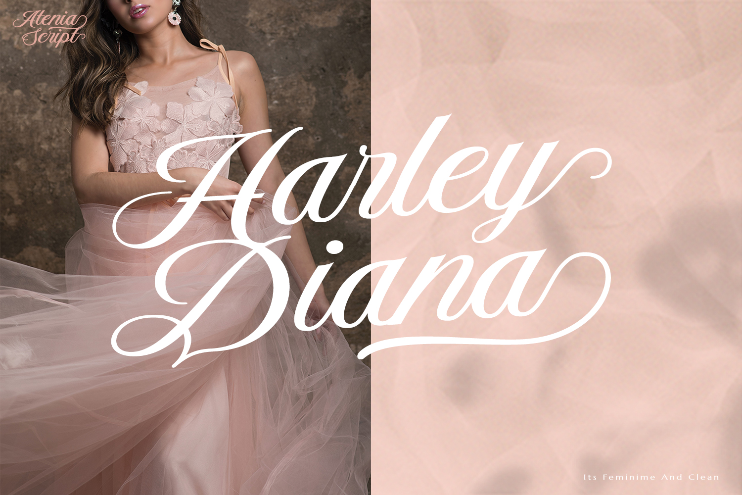 Download Aetrina Script font | dafonttop.com