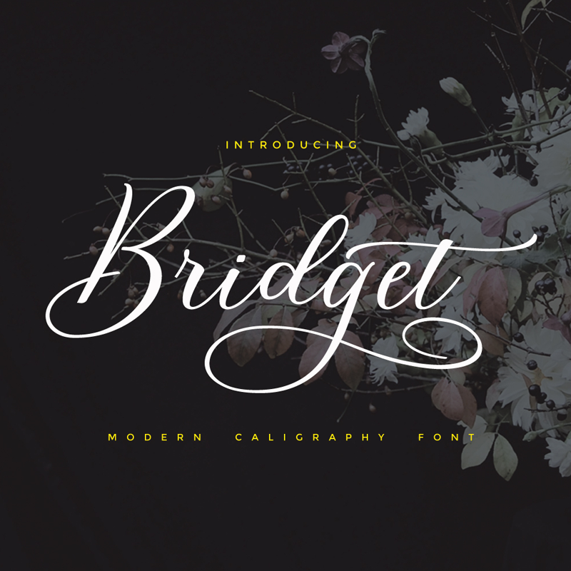 Download Bridget Script font | dafonttop.com