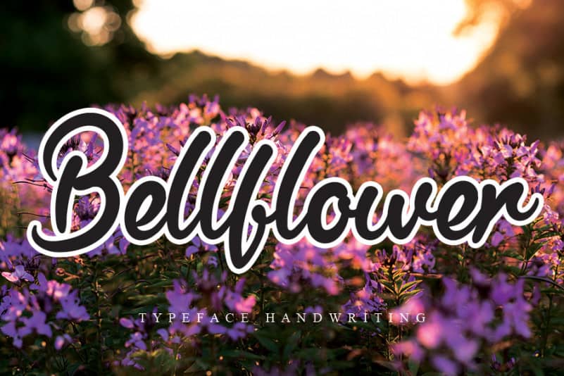 Download Bellflower font | dafonttop.com