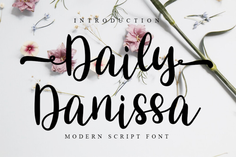 Download Daily Danissa font | dafonttop.com