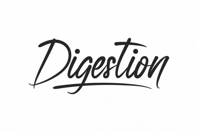 Download Digestion Demo font | dafonttop.com