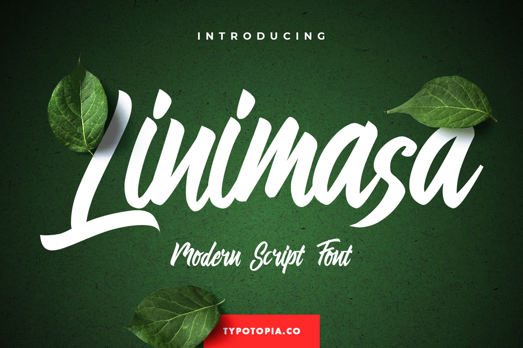 Download Linimasa font | dafonttop.com