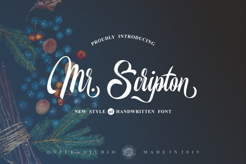 Download Mr Scripton font | dafonttop.com