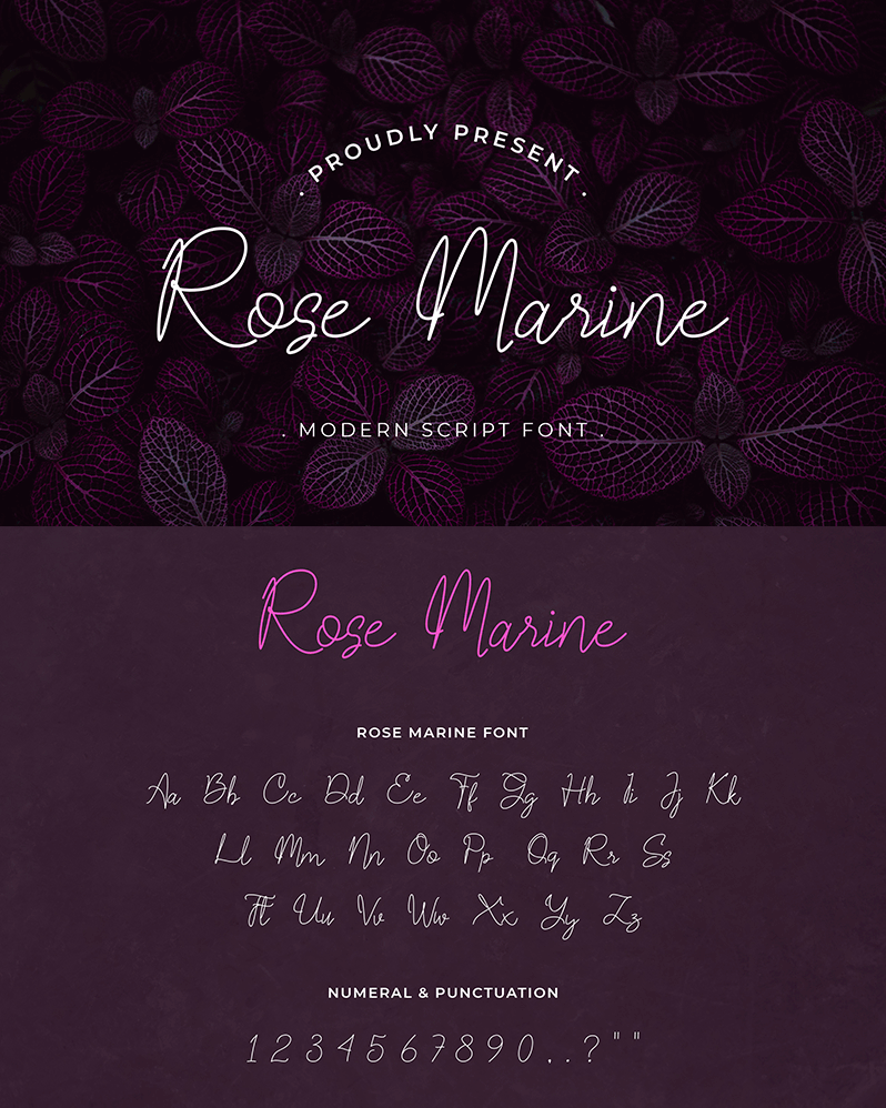 Download Rose Marine font | dafonttop.com