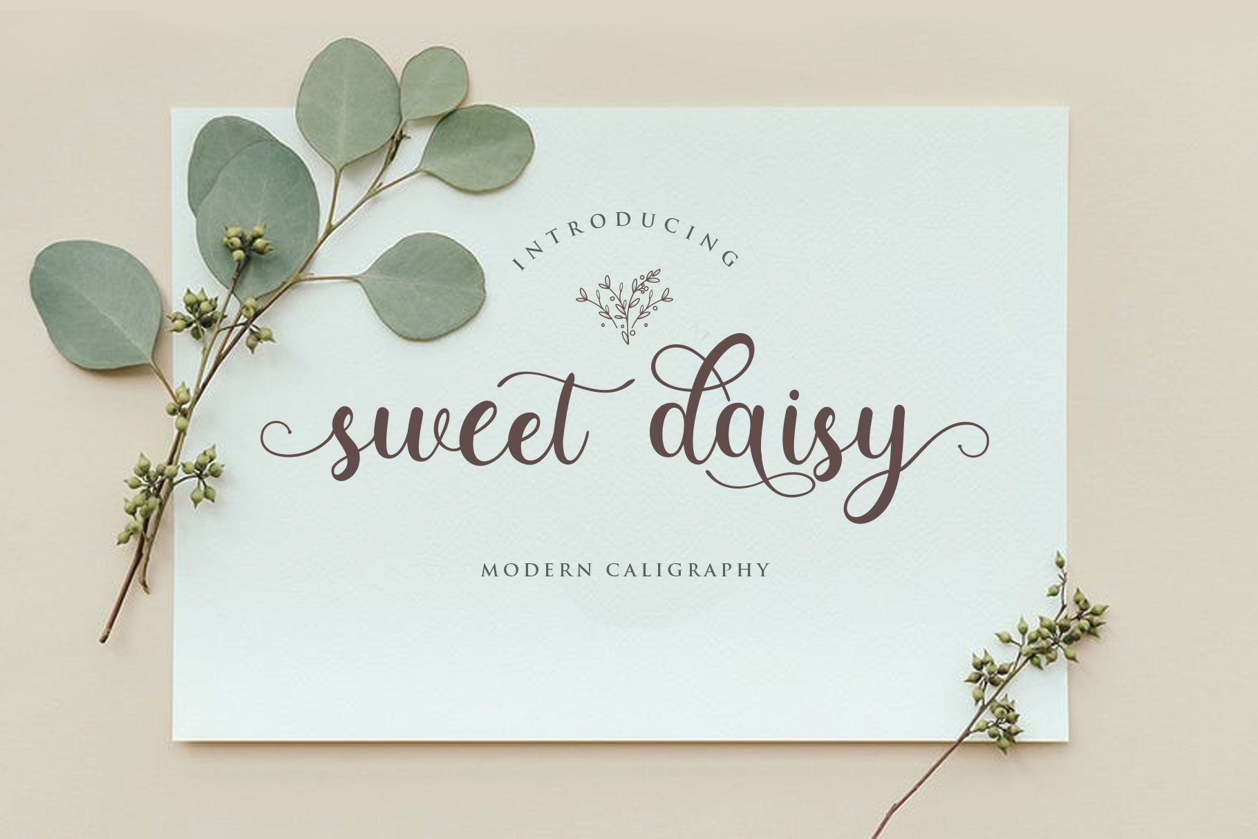 Download Sweet Daisy font | dafonttop.com
