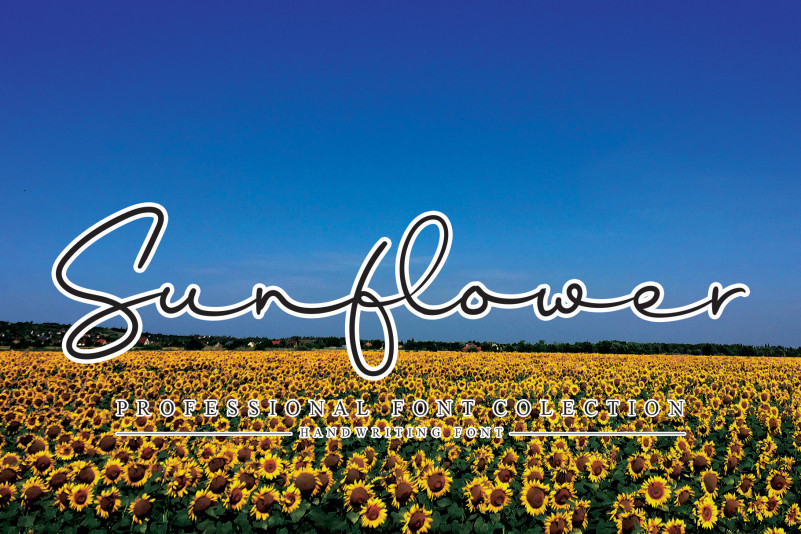 Download Sunflower font | dafonttop.com