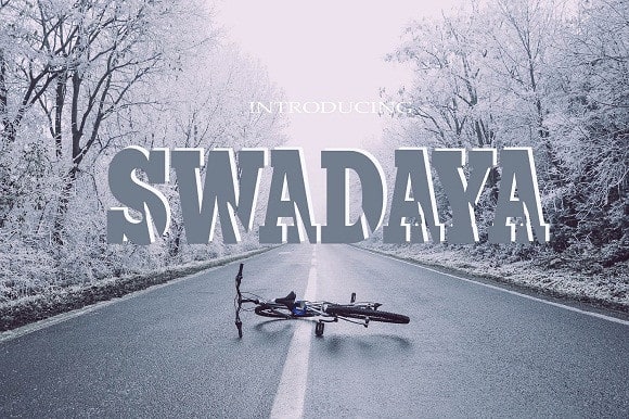 Download SWADAYA font | dafonttop.com