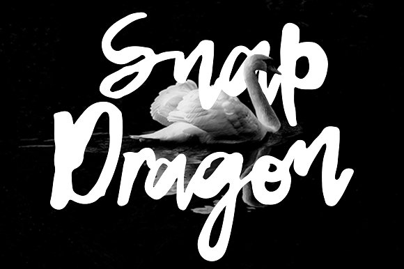 Download Snap Dragon font | dafonttop.com