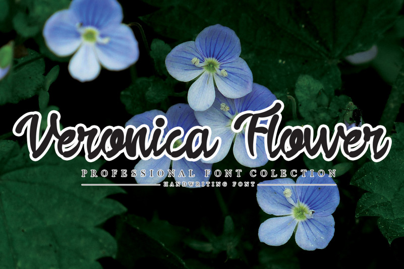 Download Veronica Flower font | dafonttop.com