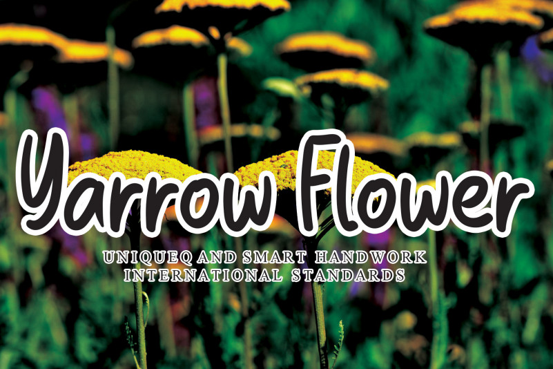 Download Yarrow Flower font | dafonttop.com